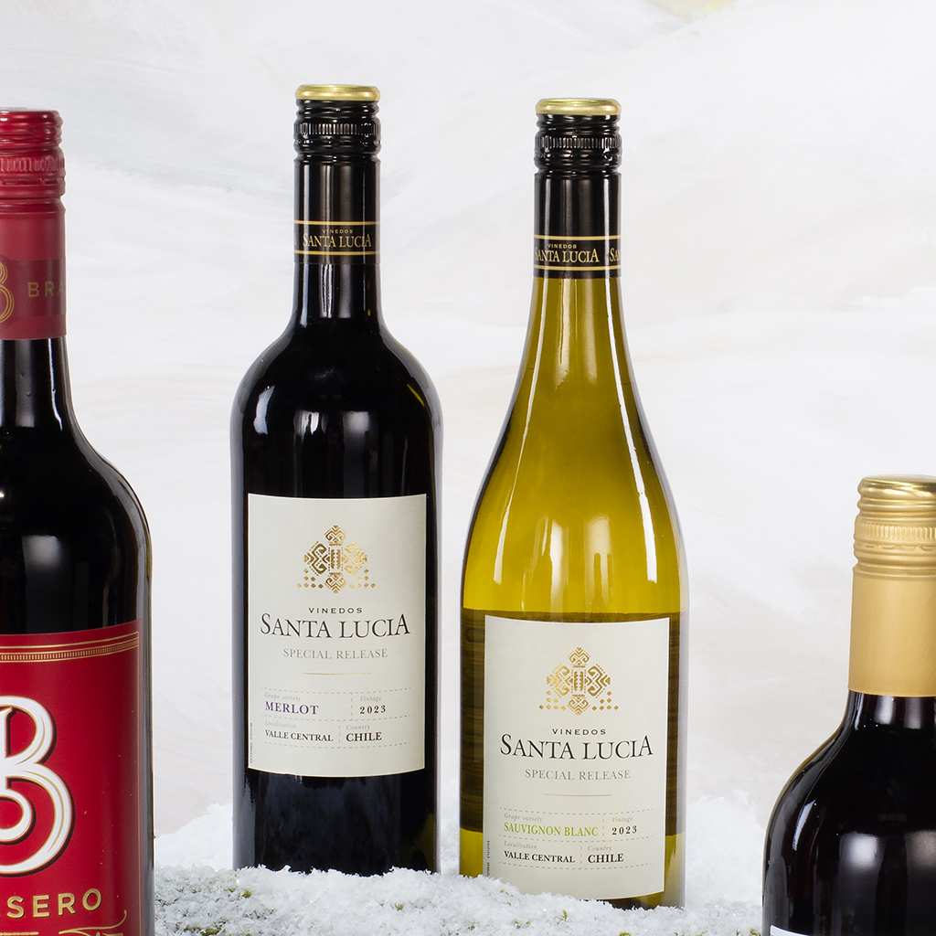 Six Wines Gift Box | Red & White Wines in Decorative Gift Box